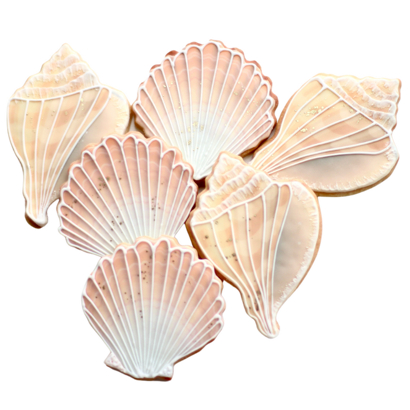 Seashell Cookie Set – Sweet Sanctions