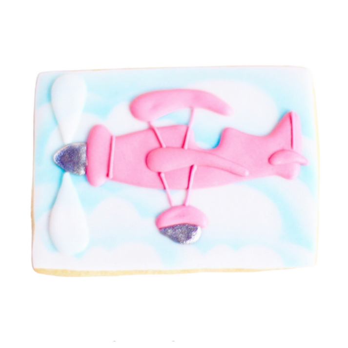 Vintage Sky Plane Cookies – Sweet Sanctions